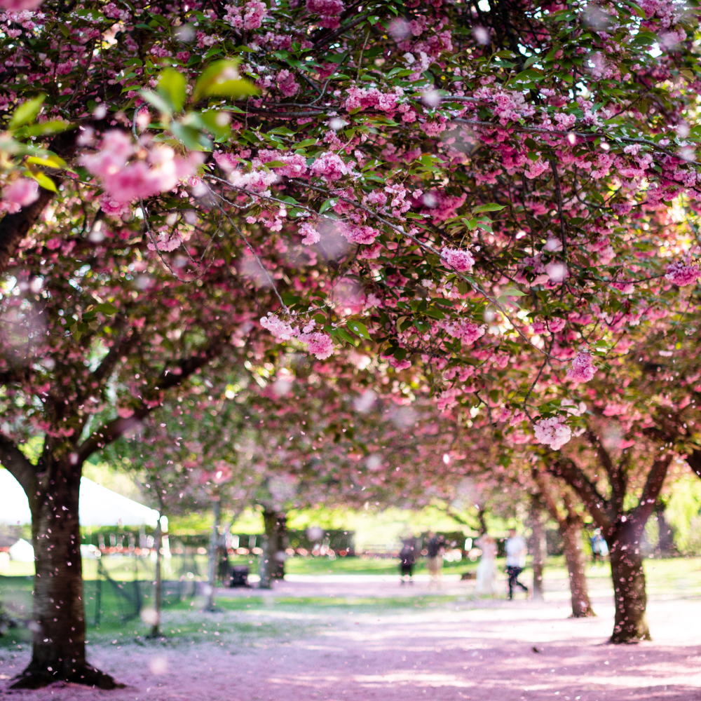 New York Goes Floral for Spring - The Lombardy NYC